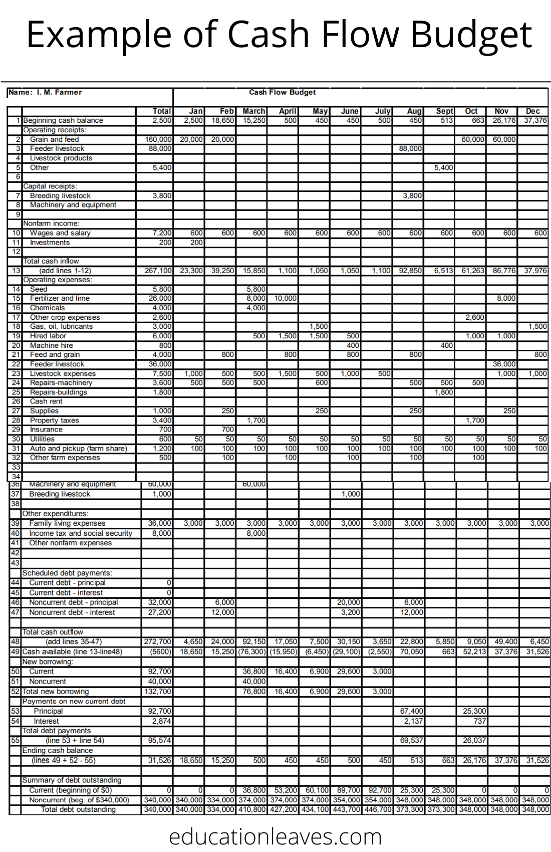 What Is Cash Flow Budgeting A Comprehensive Review PDF EDUCATIONLEAVES