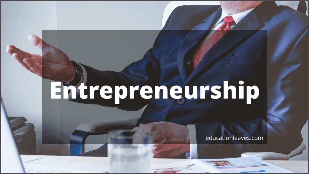 What is Entrepreneurship? Definition, 5 Types, 5 Scopes ...