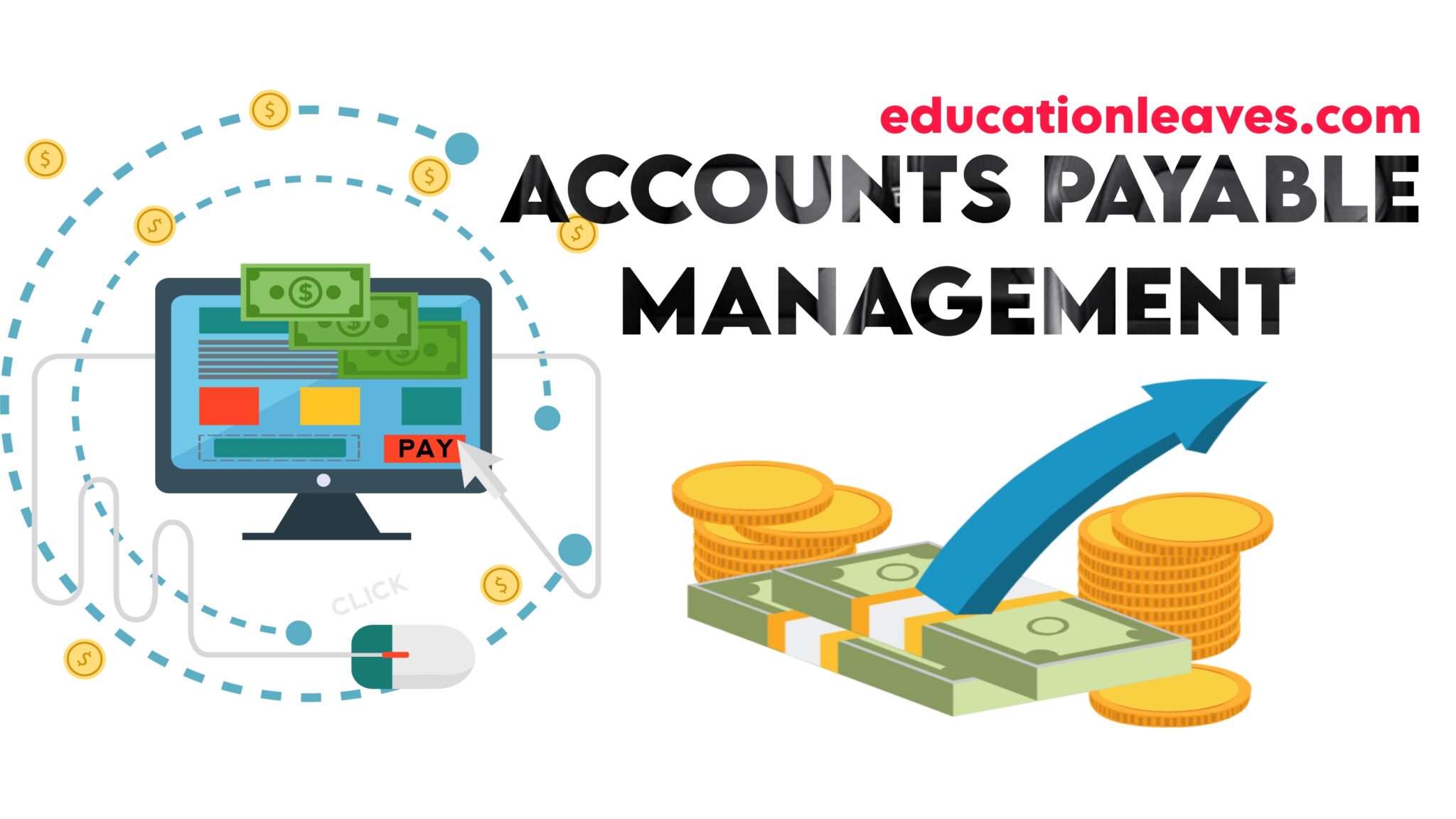 Accounts Payable Management: Definition, Example, Objectives, Process