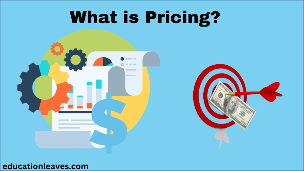 What is Pricing? Types of Pricing Strategies, PDF