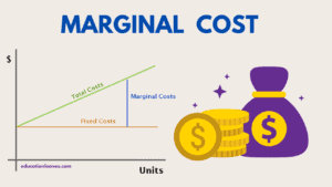 Marginal Cost: Definition, Formula, Examples, Significance, marginal ...